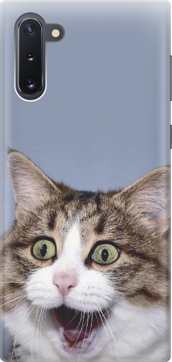 Силиконовый чехол Кошачье удивление на Samsung Galaxy Note 10 / Самсунг Ноут 10