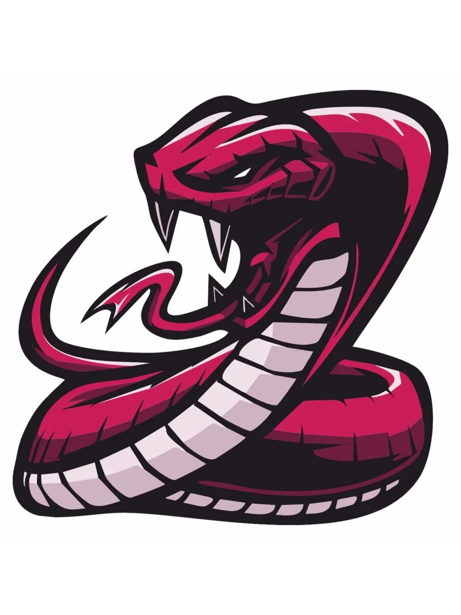 Наклейка "Змея", 250х250мм, вид 9, Арт рэйсинг