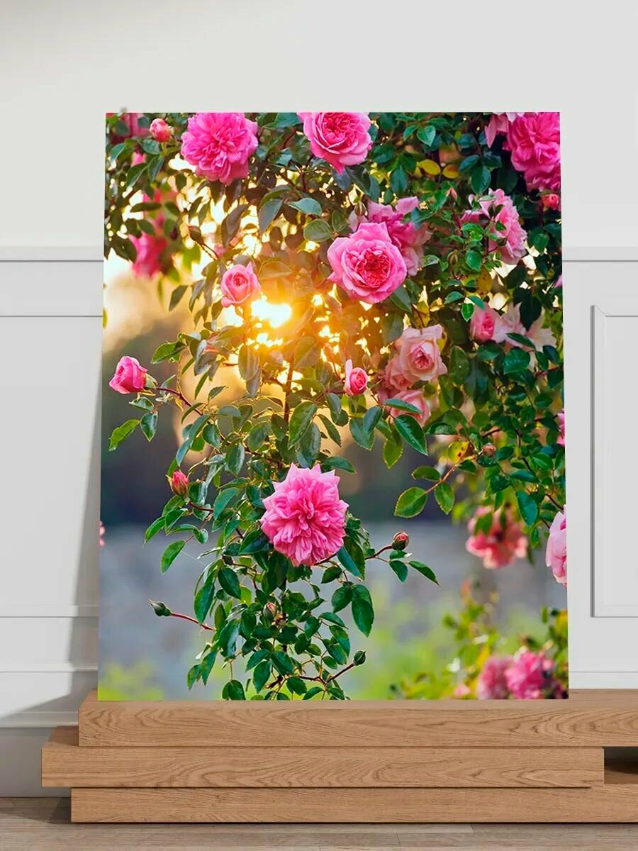 Картина "Розы в саду", для интерьера 30х40см 1шт.