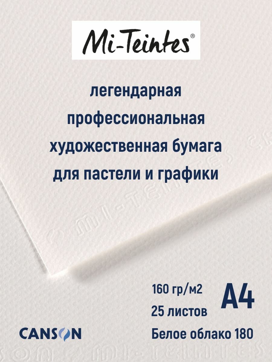CANSON Mi-Teintes бумага для пастели 160 г/м2, 25 листов A4 21 х 29.7 см, №180 Белое облако C31032S039