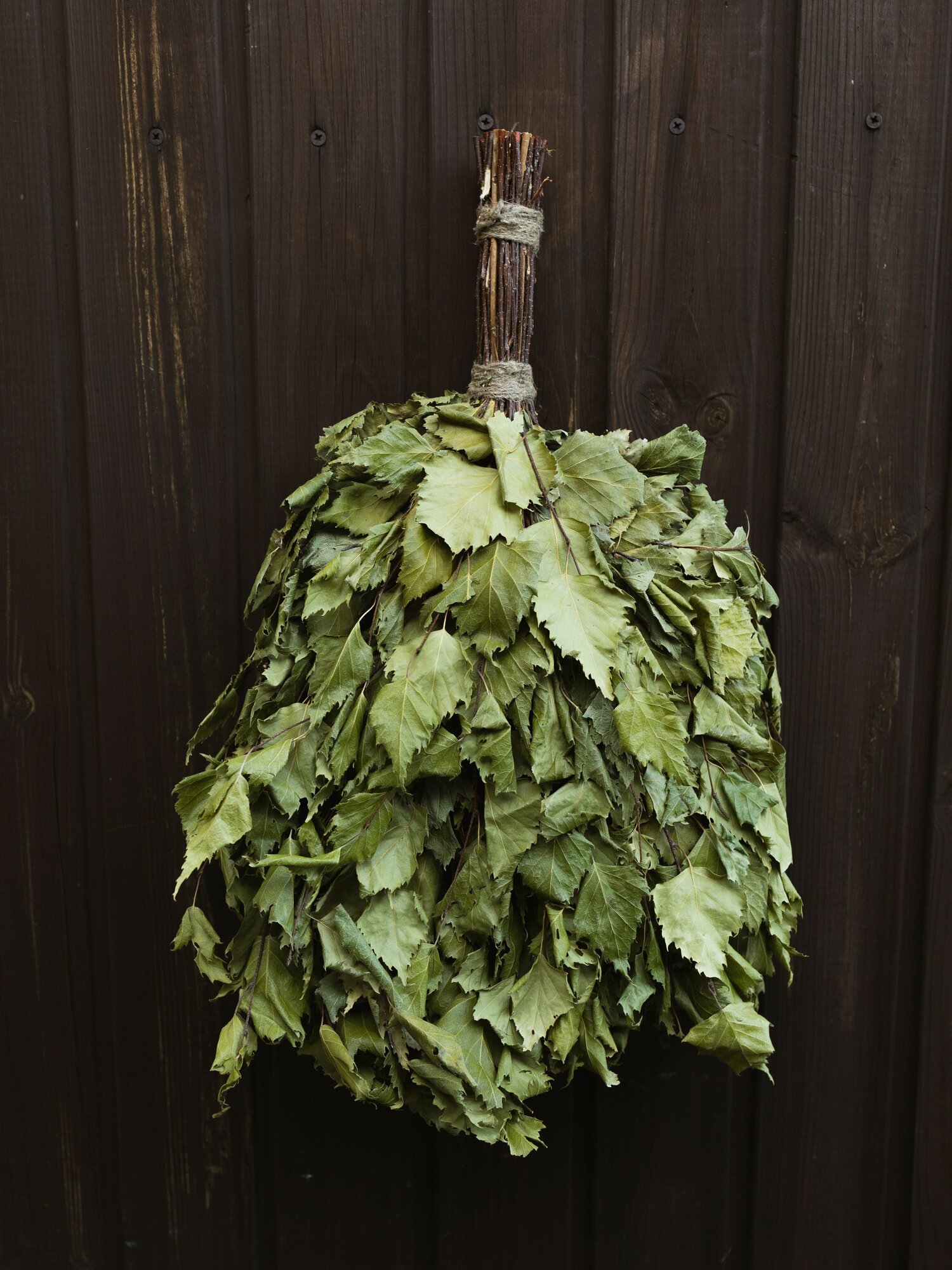 Веник премиум-класса березовый со смородиной, 48 см, ручная работа