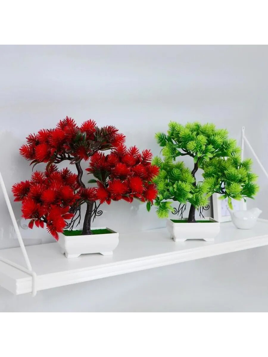 Очаровательный бонсай с пушистыми листьями