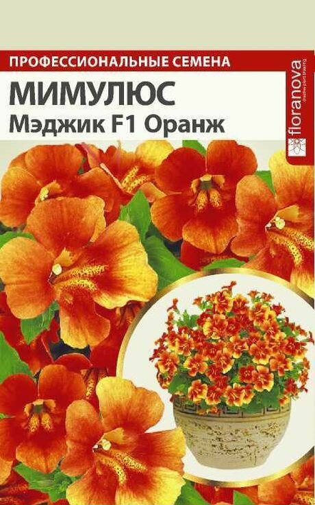 Семена растения мимулюс мэджик оранж