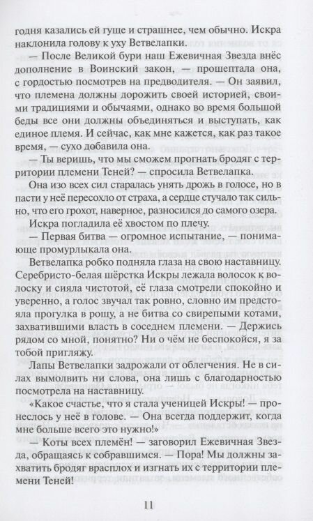 Расколотое небо — фото 1