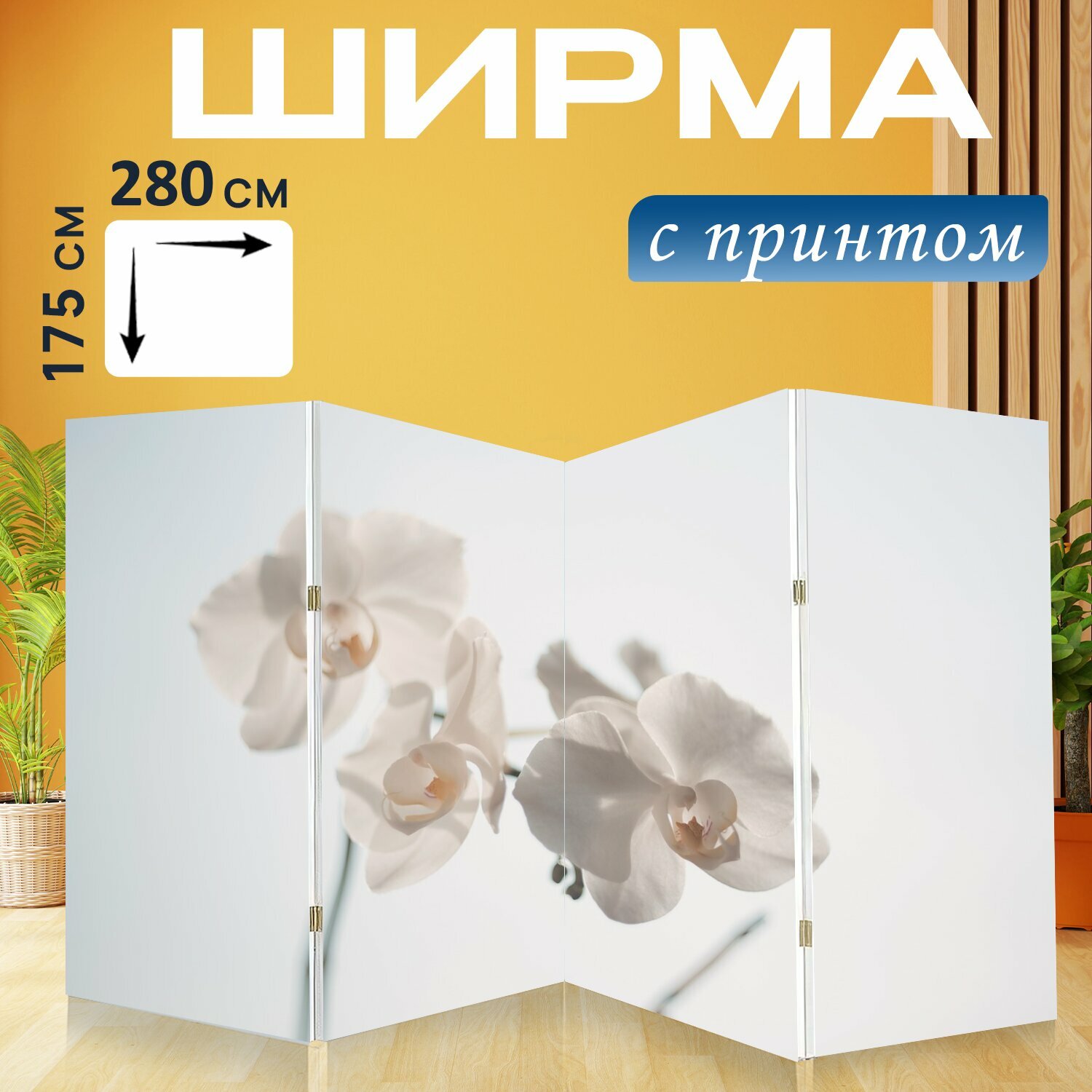 Ширма "Красивая, орхидеи, белый" перегородка для зонирования комнаты с принтом 280x175 см. на холсте