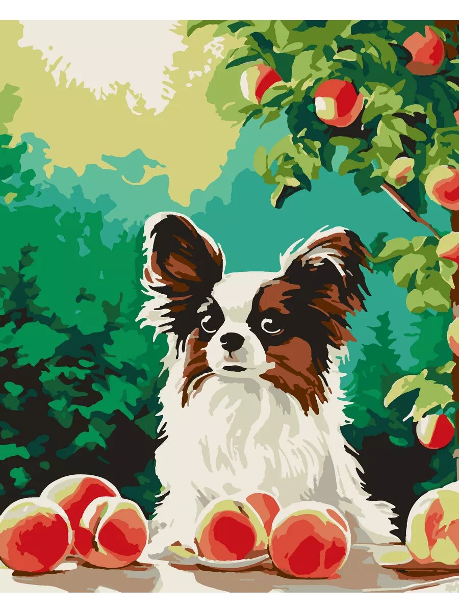 Картина по номерам Папильон 40х50 см