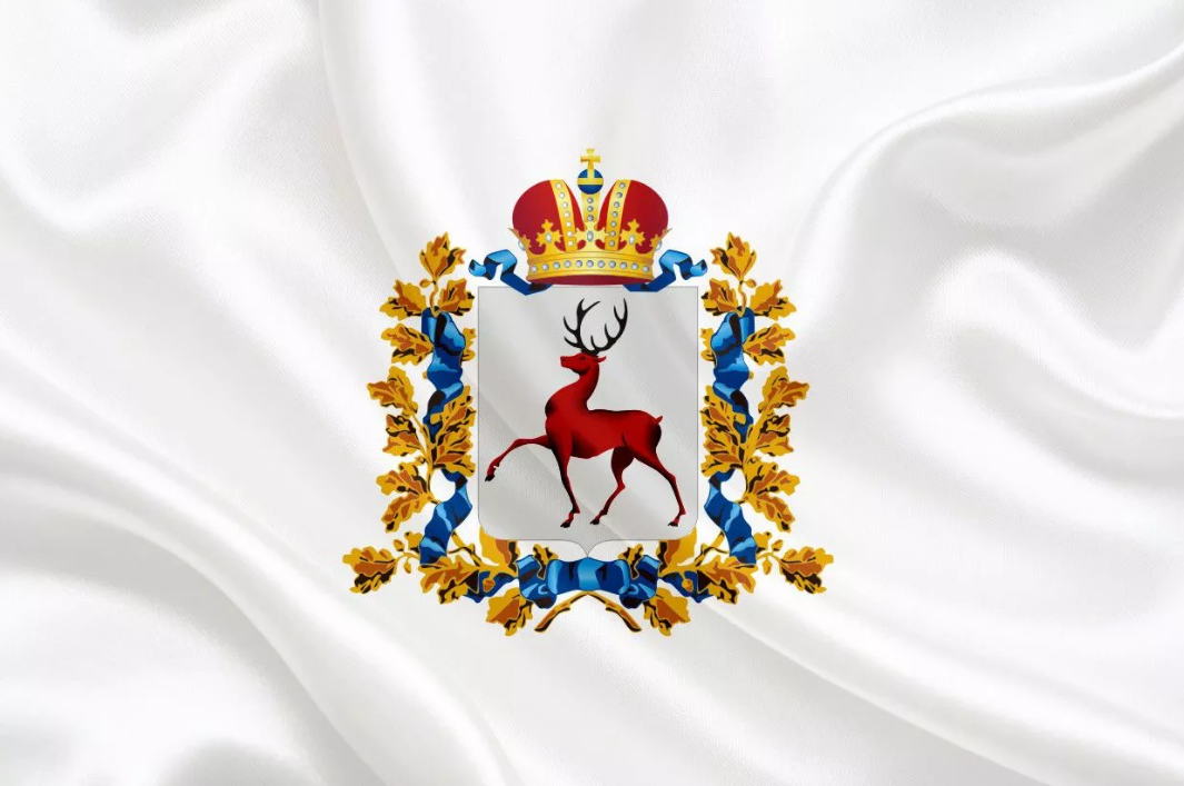 Флаг Нижегородской области 90х135 см