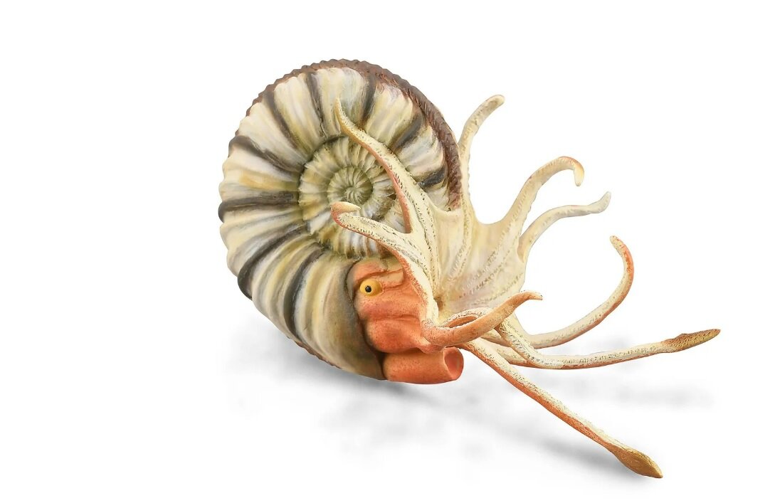 Фигурка Collecta Амонит, XL 88902b
