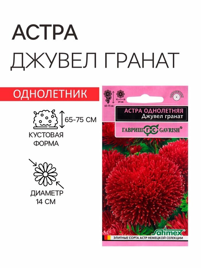 Семена цветов Астра «Джувел Гранат», 0.05 г, однолетник, «Гавриш»