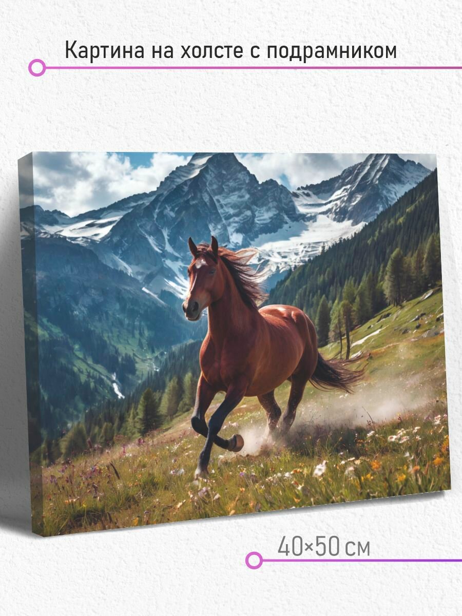 Картина на холсте на подрамнике 40х50 см. Природа, животные, рыбы, птицы. Лошади и кони. "Гнедой мустанг", арт. 6622/