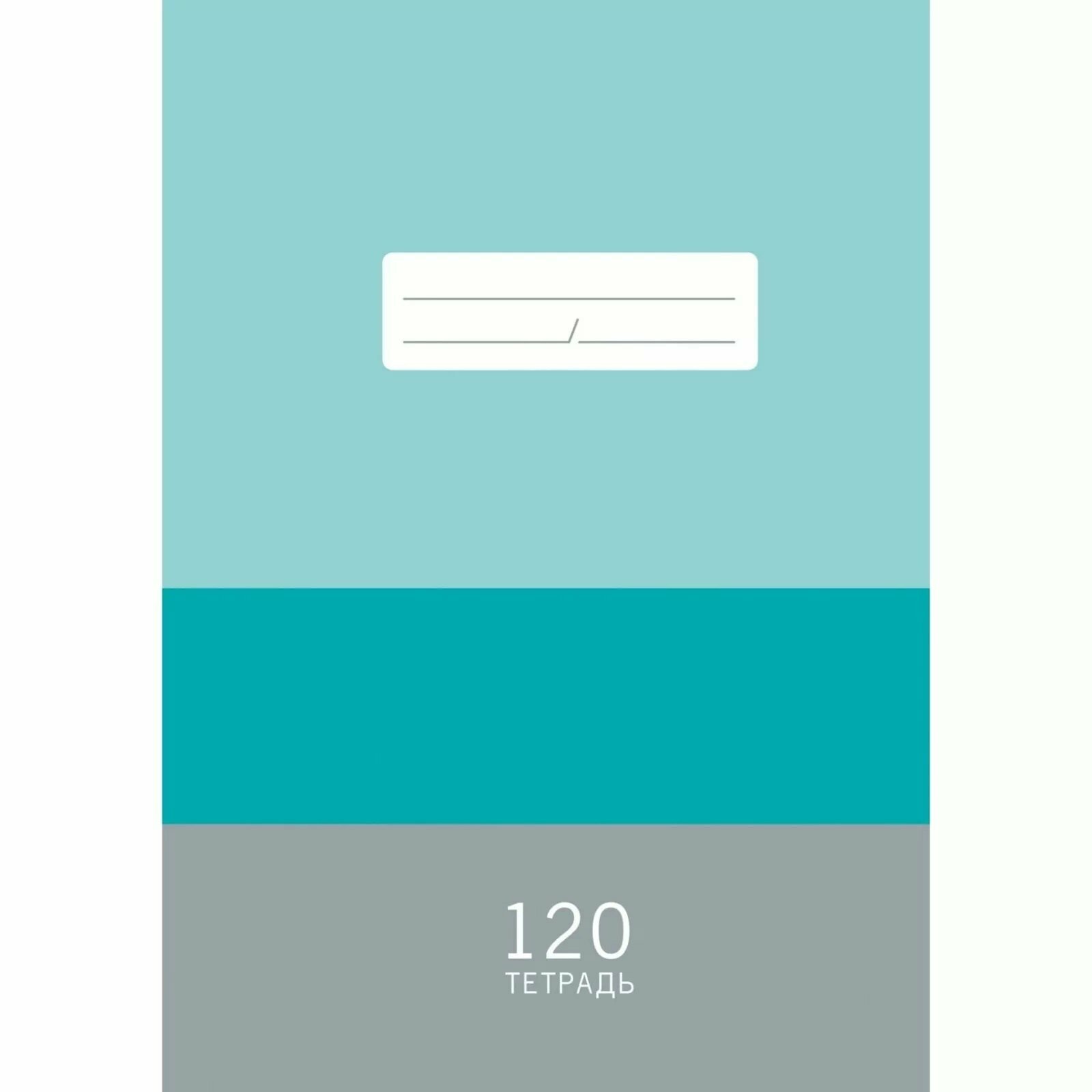 Тетрадь в клетку Listoff, "Мятная палитра", 120 листов