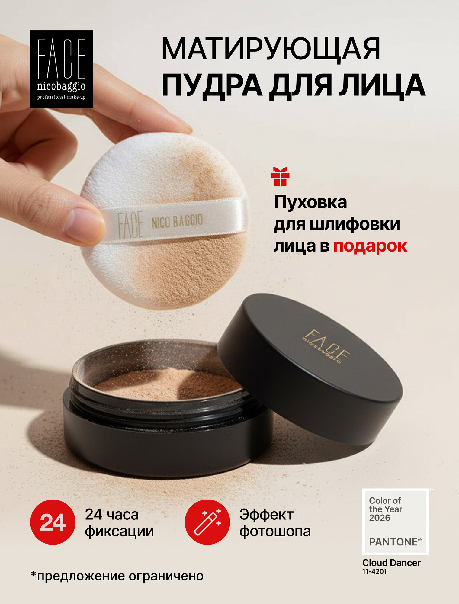 Невидимая пудра-фильтр Контроль жирности FACE nicobaggio professional make up Transparent Powder