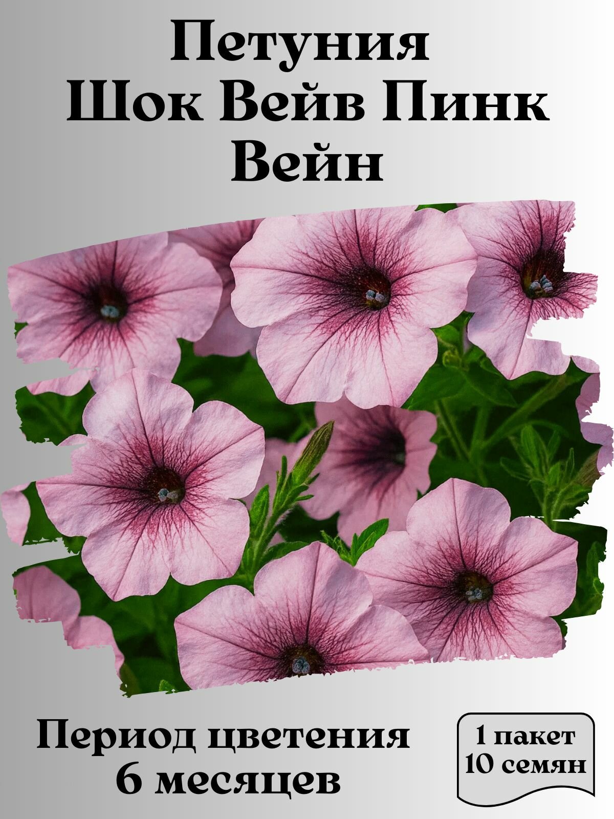 Петуния Шок Вейв Пинк Вейн, семена, 10 шт, 15 гр.
