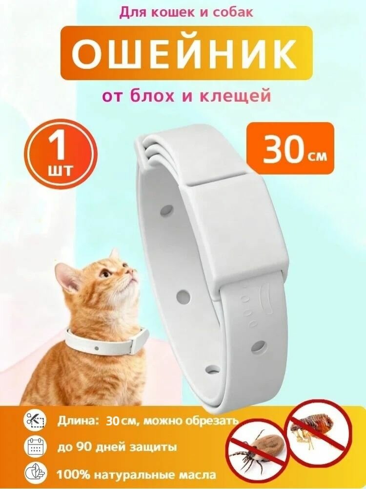 Ошейник для домашних животных ошейник собачий ошейник для кошек собака кошка
