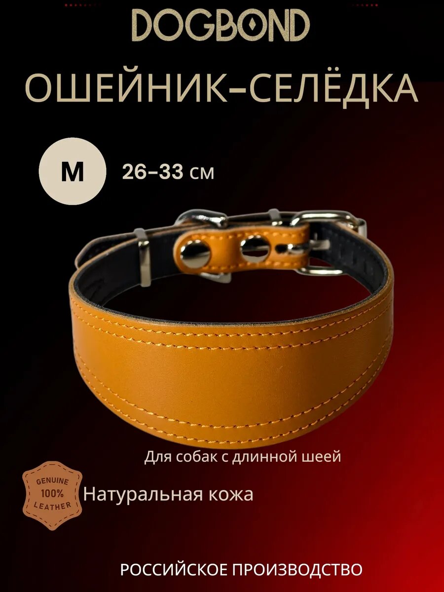 Dogbond ошейник-селедка для малых и средних пород