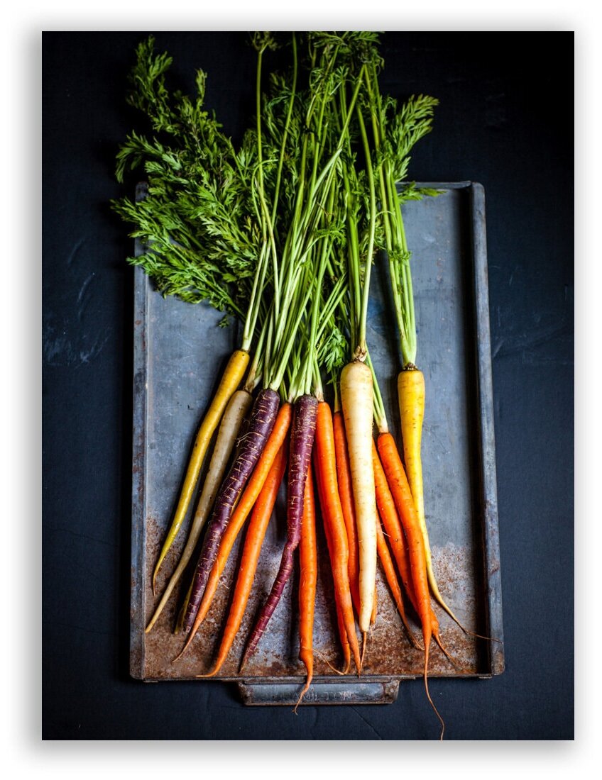 Постер на бумаге / Морковь