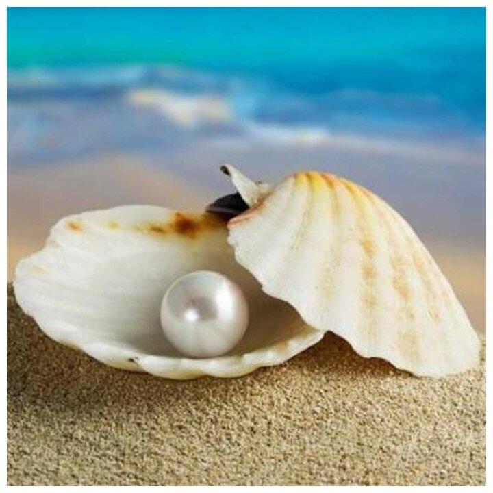 Набор алмазной мозаики "Жемчужина", размер 20х20 см, 30 цветов