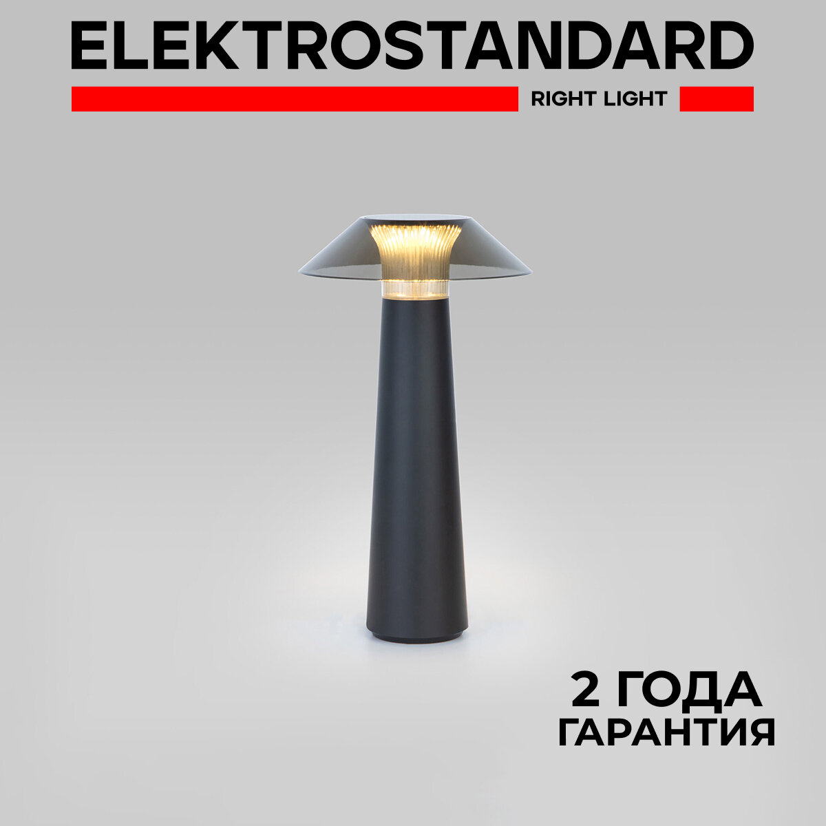 Настольная лампа / Светильник настольный уличный Elektrostandard Future TL70200, 4 Вт/4200К/с аккумулятором/чёрный, IP44