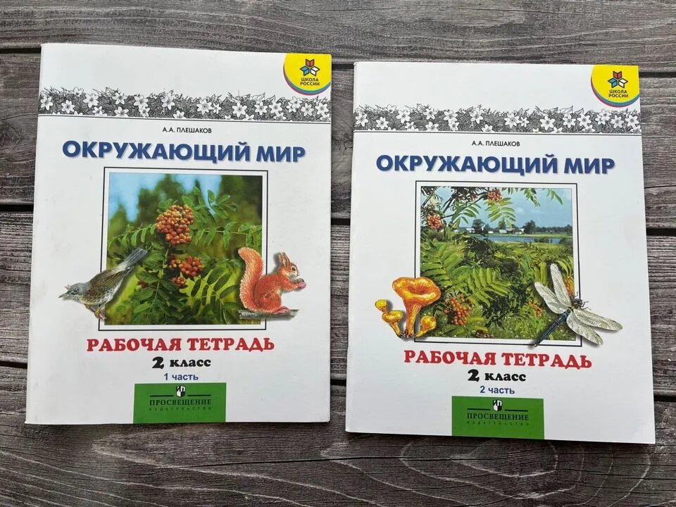 Плешаков. Рабочая тетрадь 2 класс. Школа России (1,2)ч.