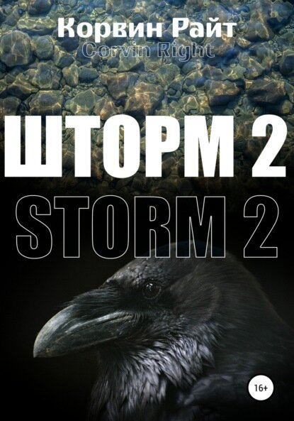 Шторм-2 [Цифровая книга]