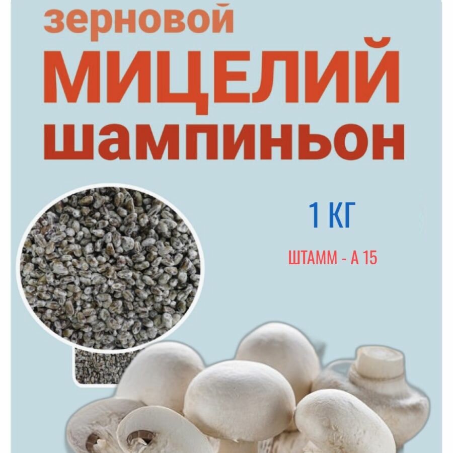 Мицелий зерновой грибов Шампиньоны 1 кг. 1 килограмм семена мицелий