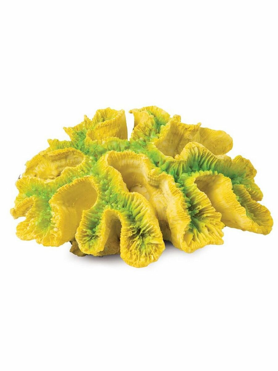 Коралл искусственный Laguna "Симфиллия", зелено-желтая, 170*130*65мм