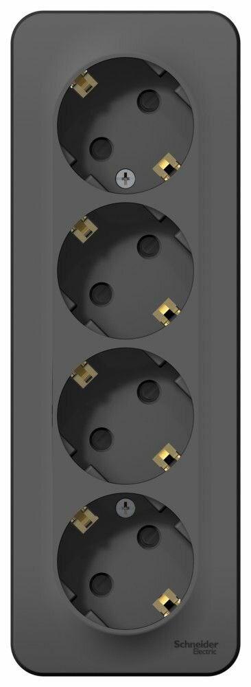 Розетка наружная Systeme Electric BLANCA, четырёхместная, с заземлением, со шторками, с изоляционной пластиной, 16А, 250В, антрацит