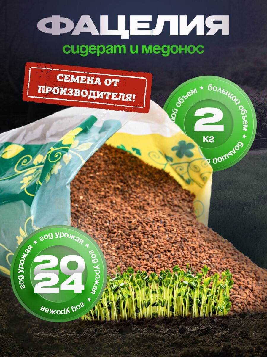 Семена Фацелия 2 кг, сидераты для огорода, медонос, Зеленый Уголок