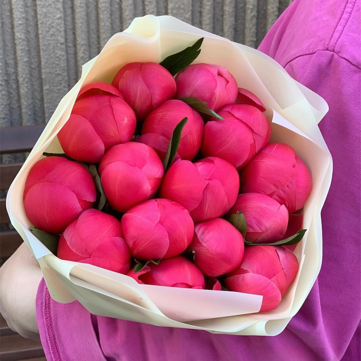 Букет из коралловых пионов 15 шт, красивый букет цветов, шикарный, премиум цветы, премиум букет