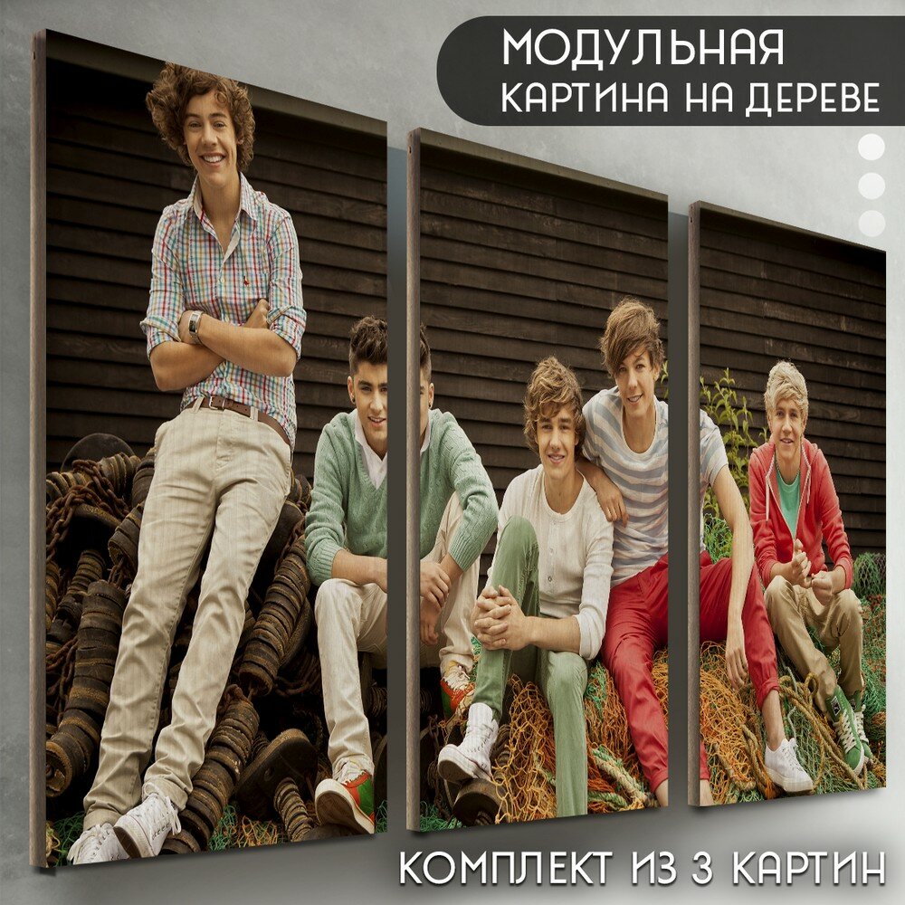 Модульная картина на дереве "Музыка Гарри Стайлс (Harry Styles, певец, дюнкерк, One direction, Don't Worry Darling) - 6569"