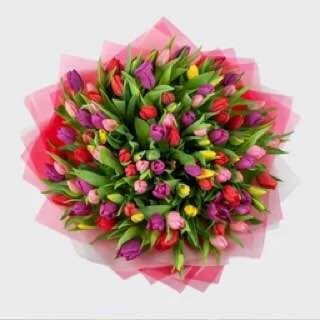 Тюльпаны, 101 шт.