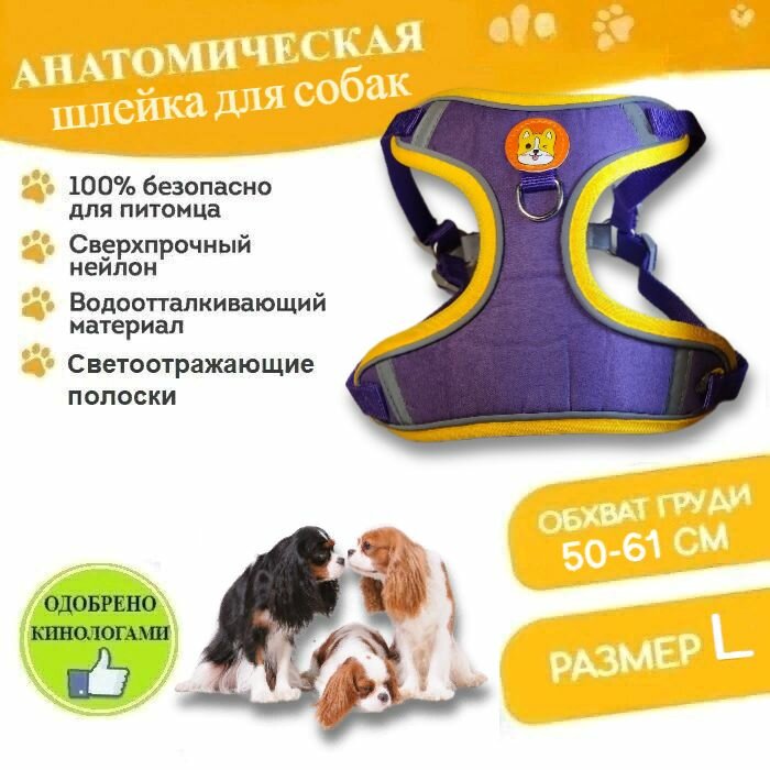 Шлейка для собак средних пород Xing Ning анатомическая обхват груди L (50-61 см), с поводком 148 см светоотражающая фиолетовая