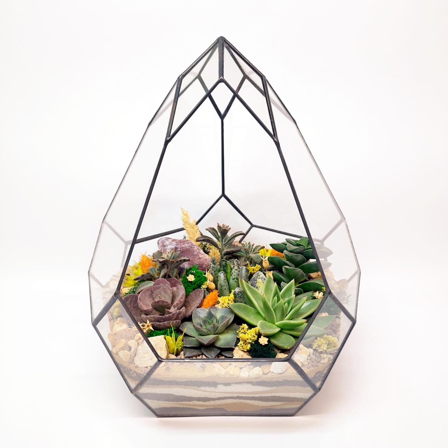 Флорариум с суккулентами Аарон 26х29см
