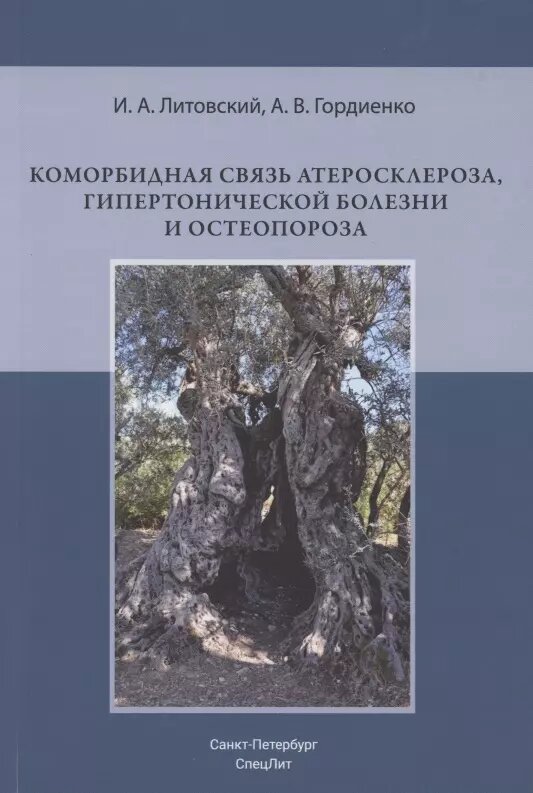 Коморбидная связь атеросклероза, гипертонической болезни и остеопороза (Александр Гордиенко, Игорь Литовский)