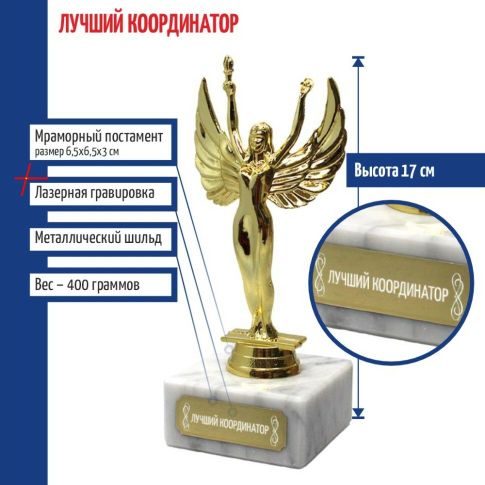 Статуэтка награда Жен. "Лучший координатор" (17 см)