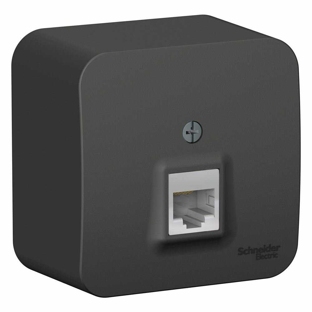 Розетка компьютерная Systeme Electric BLANCA, наружная, RJ45, категория 5Е, с изолирующей пластиной, антрацит