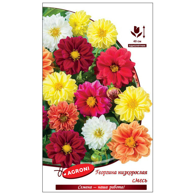 Агрони Георгина однолетняя низкорослая смесь 0,3 г - семена георгина разноцветия