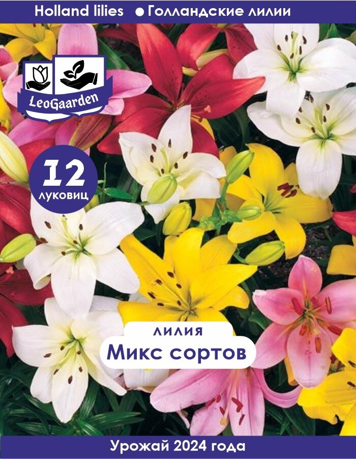 Лилия Луковица, Микс сортов 12шт (LeoGaarden)