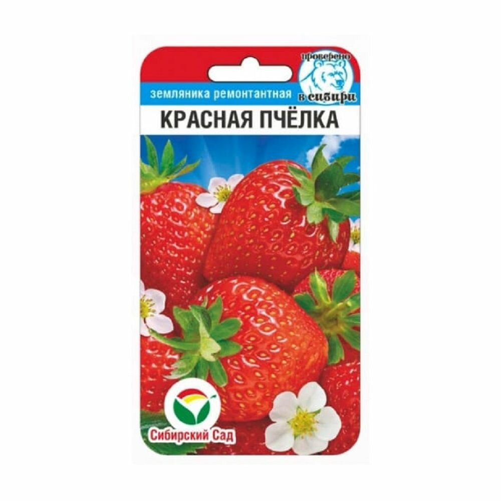 Земляника крупноплодная Красная пчёлка 10 шт Сибирский сад