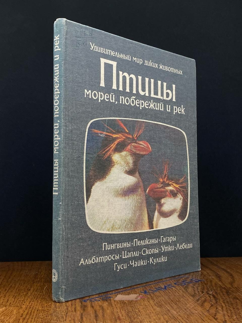 Книга. Птицы морей, побережий и рек 1983 (2043065118493)
