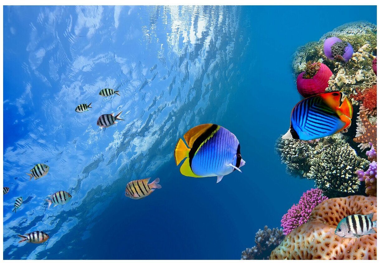 Фотофон безбликовый ART, Ф1081, 47х32 см