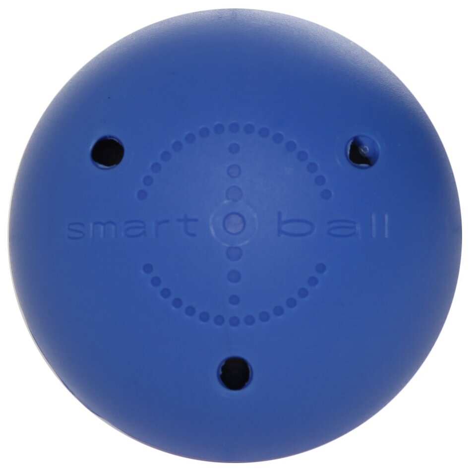 Мяч для смарт-хоккея Mad Guy тренировочный, пластиковый, 56мм, 120г, синий