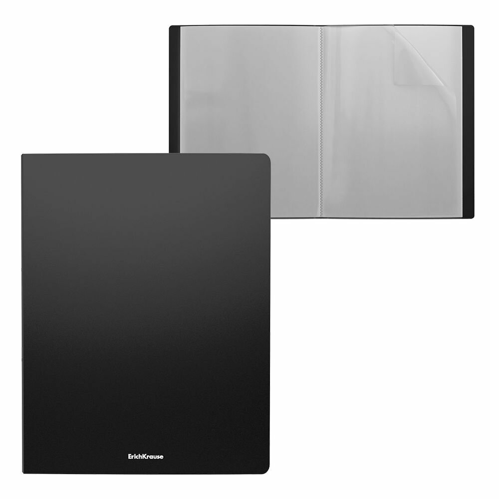 Папка файловая пластиковая ErichKrause Matt Classic, c 10 карманами, A4, черный