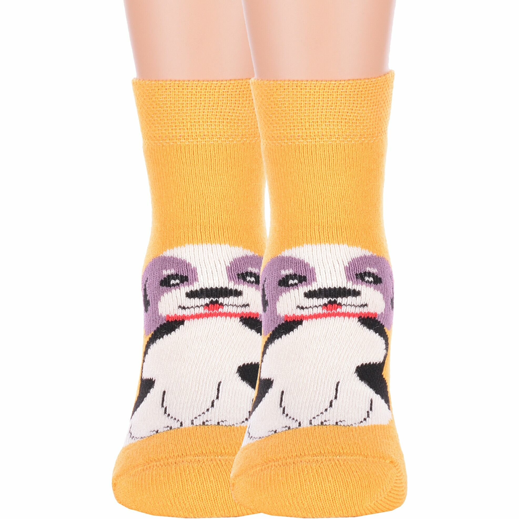 Носки Базовая коллекция