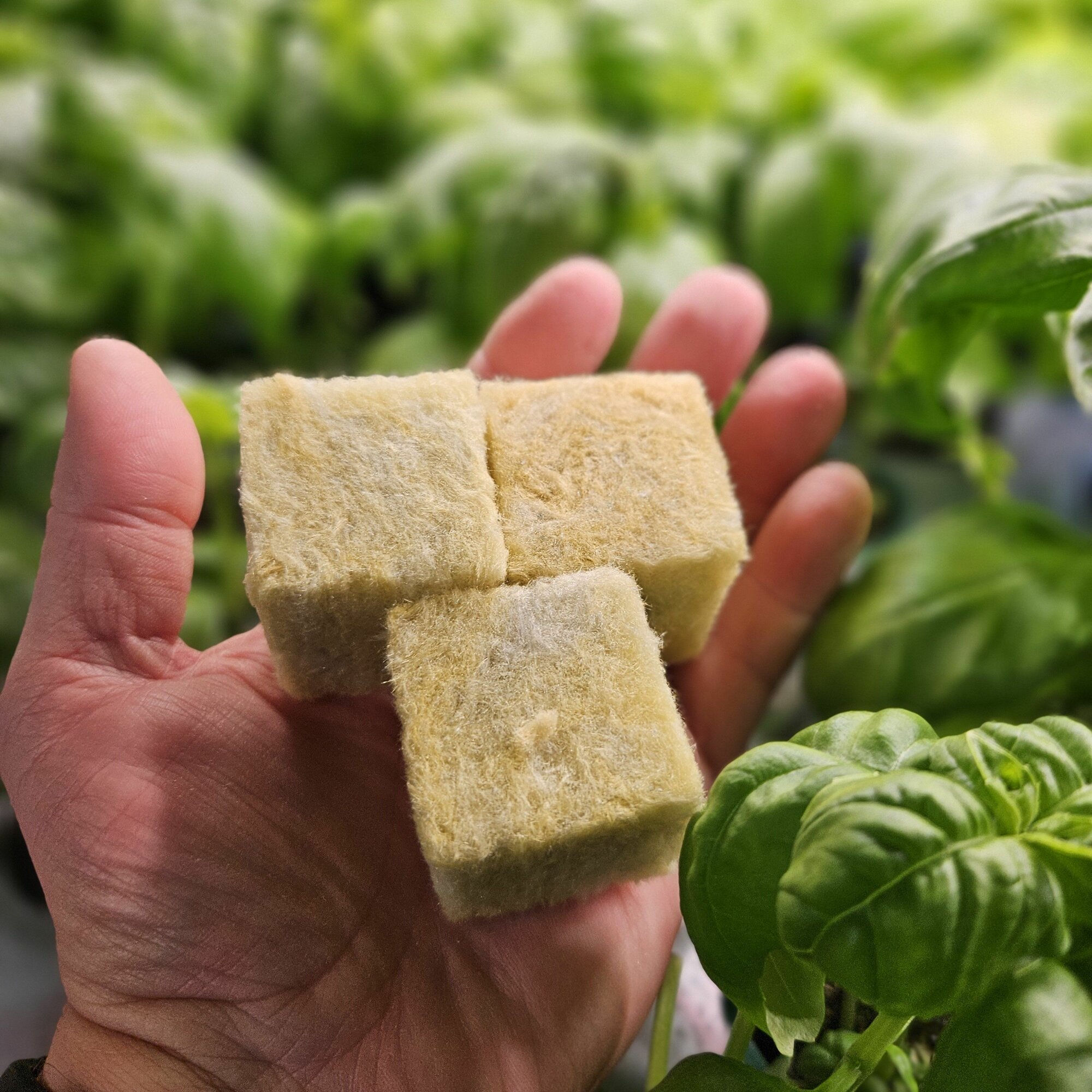 Кубики пробки агровата минеральная для рассады 24 шт 35х35х40 мм агроло