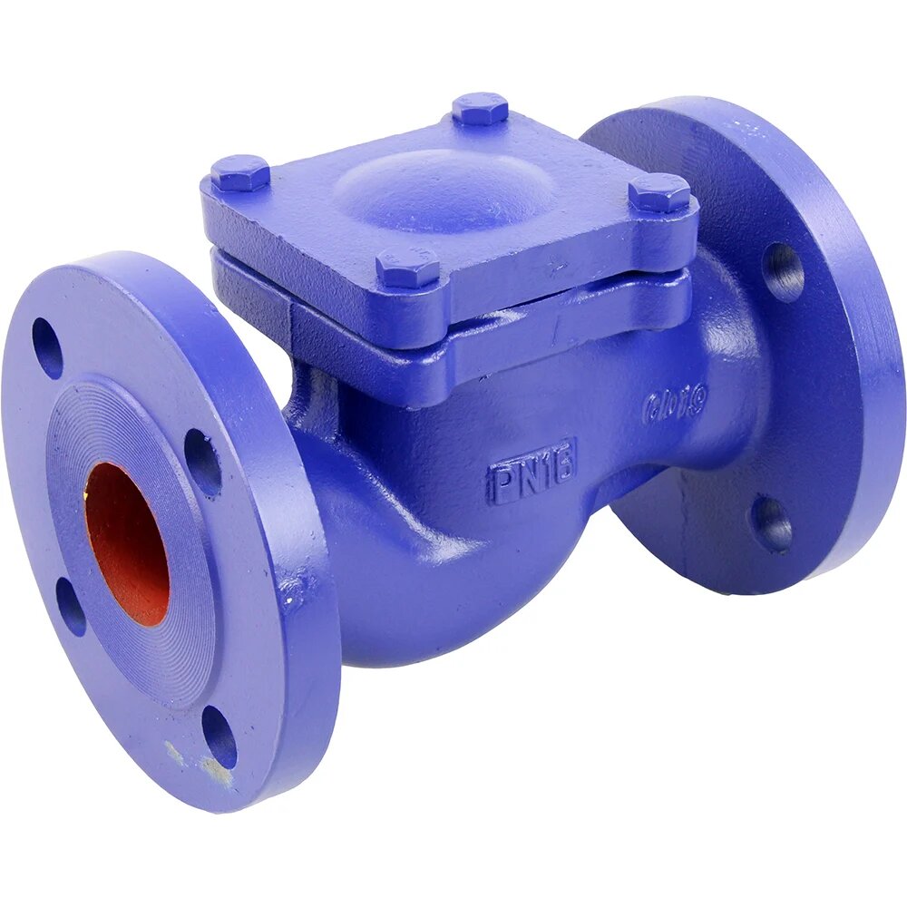 DN.ru Клапан обратный подъемный 287A Ду50 Ру16 фланцевый, чугунный D100-02376