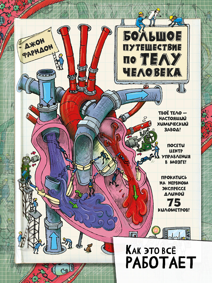 Большое путешествие по телу человека