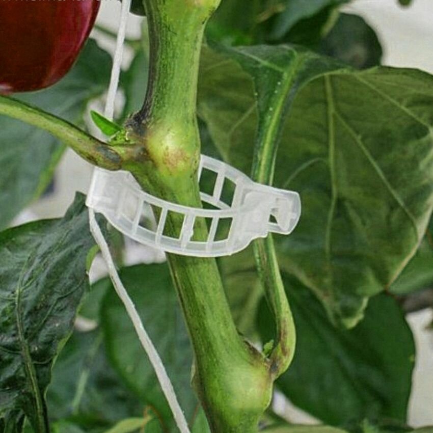 Клипсы для подвязки растений D25мм, 50шт