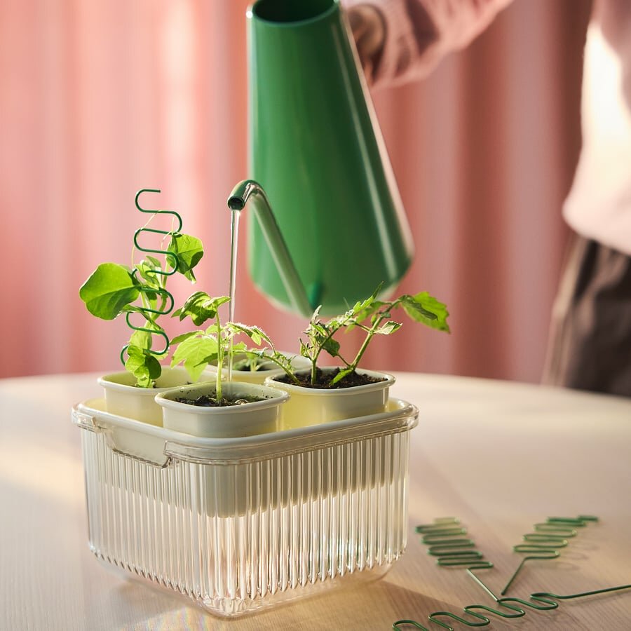 Набор для выращивания растений прозрачный/кремовый IKEA DOFTRIPS,16х16х14,5см 606.123.37