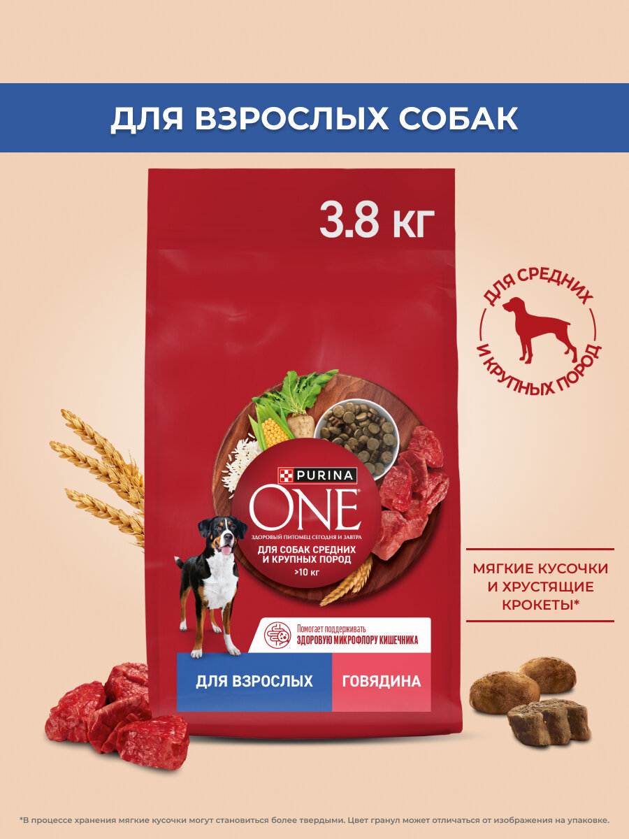 Сухой корм PURINA ONE® для взрослых собак средних и крупных пород с говядиной и рисом, 3,8 кг